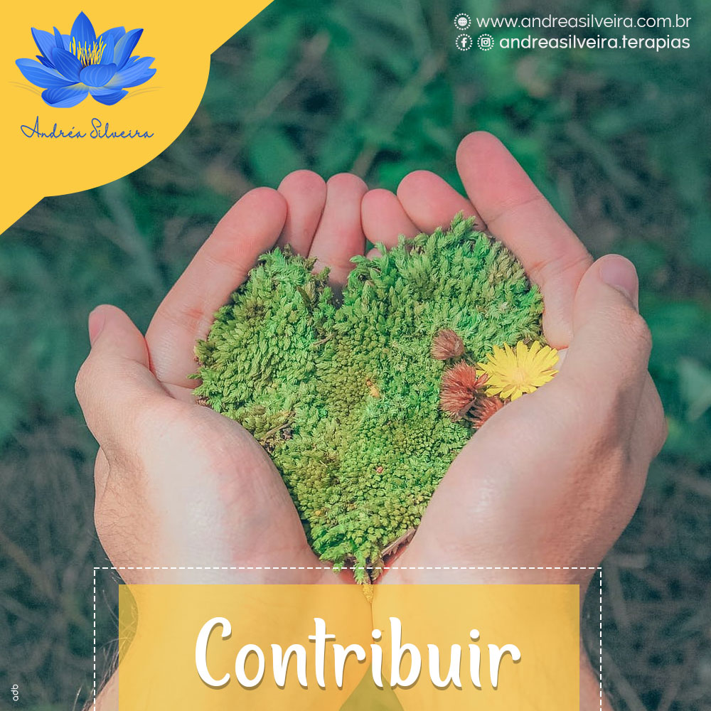 CONTRIBUIR - Andréa Silveira